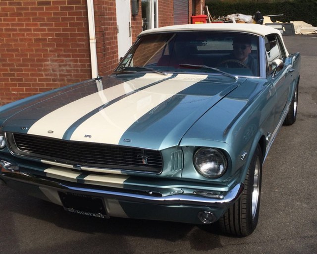 The French Connection | Mustang Maniac