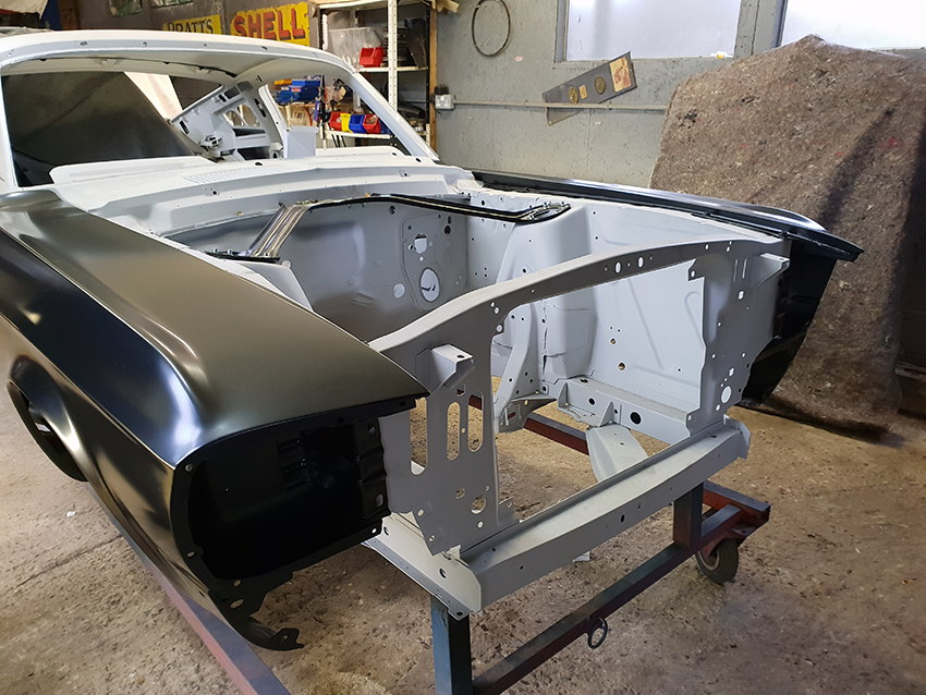 ShelbyShell1 | Mustang Maniac